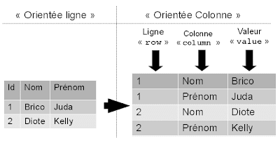 Orientée colonnes