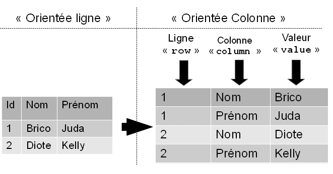 Orientée colonnes