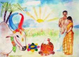 Beginner: Pongal and the celebrations of India