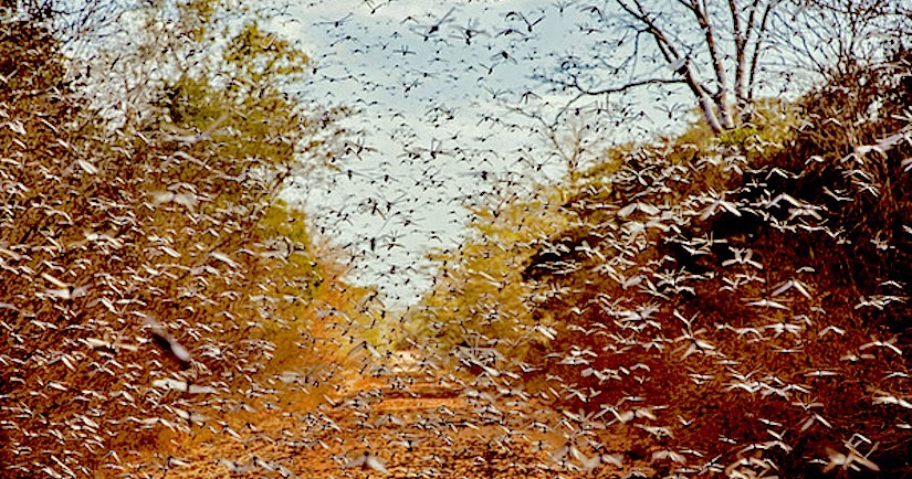 The Big Wobble : "A tenth of the world's population in danger!" Saudi ...