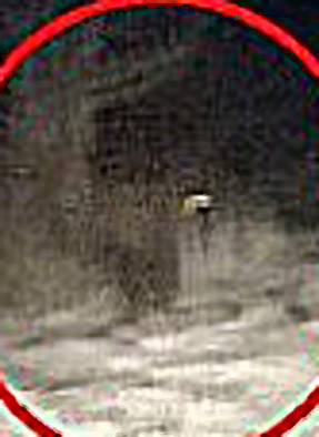 8 Foot Tall Werewolf or Dogman? ~ The Crypto Crew