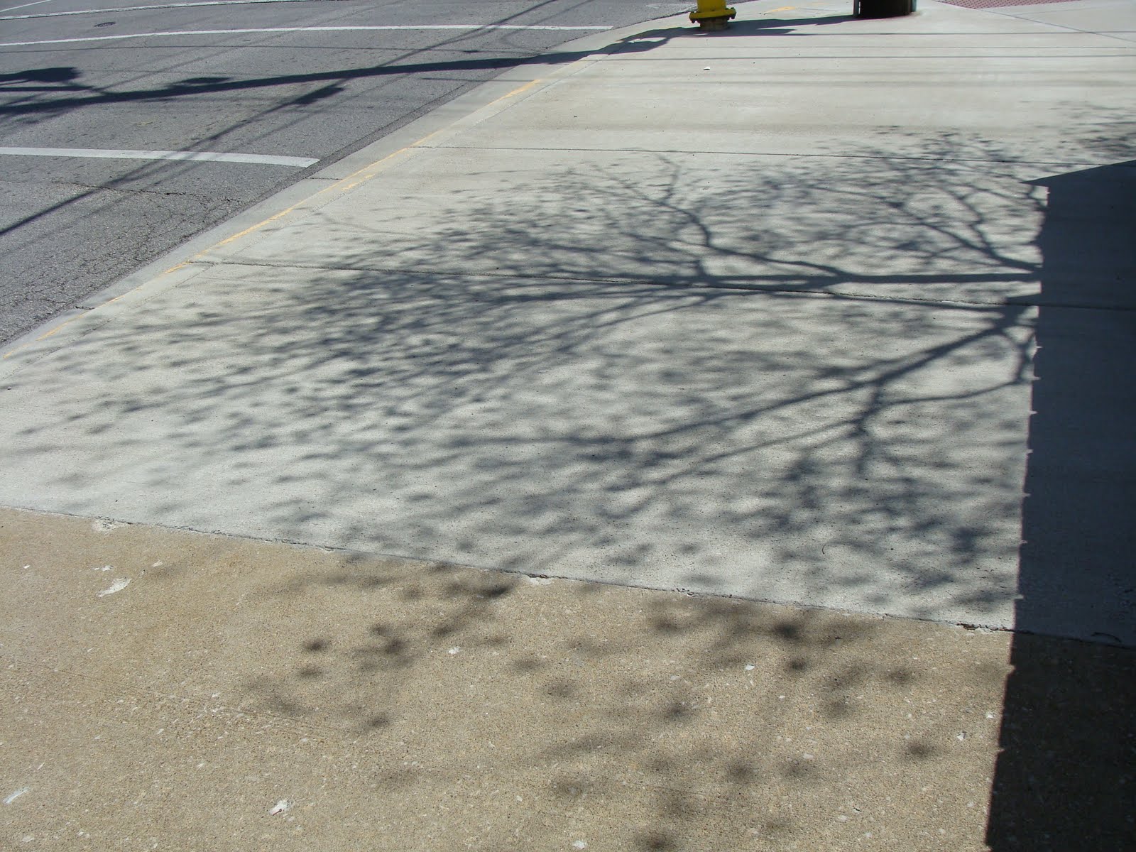 This Little Light Of Mine.....: Shadows On The Sidewalk