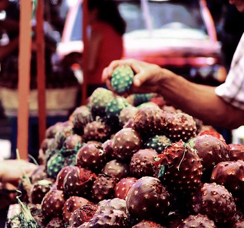 México a través de la mirada de una cubana: Festival de la Pitaya en ...