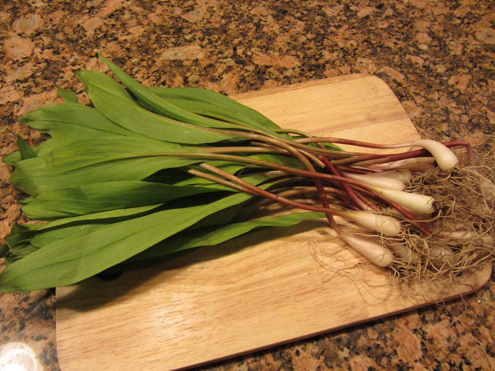 Cuit Sans Four: Ramp It Up!