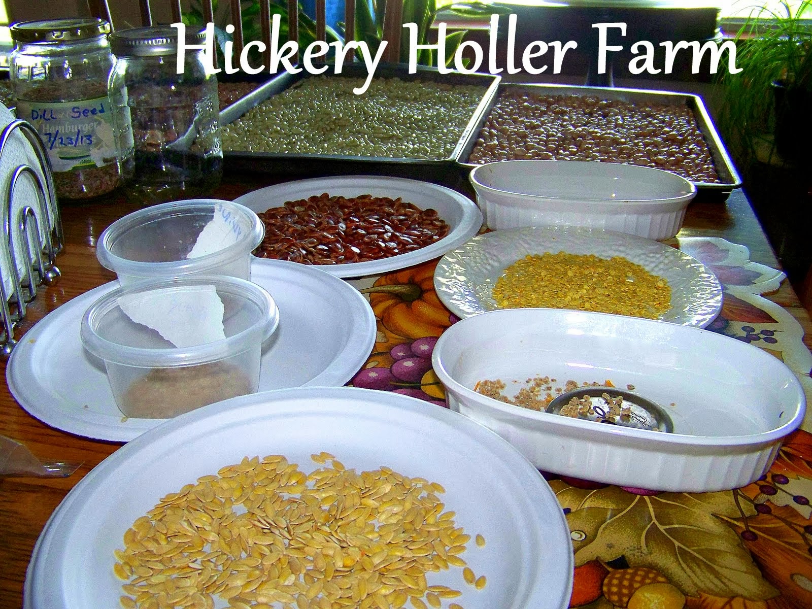 Hickery Holler Farm: Weekly Tally And Farm Update