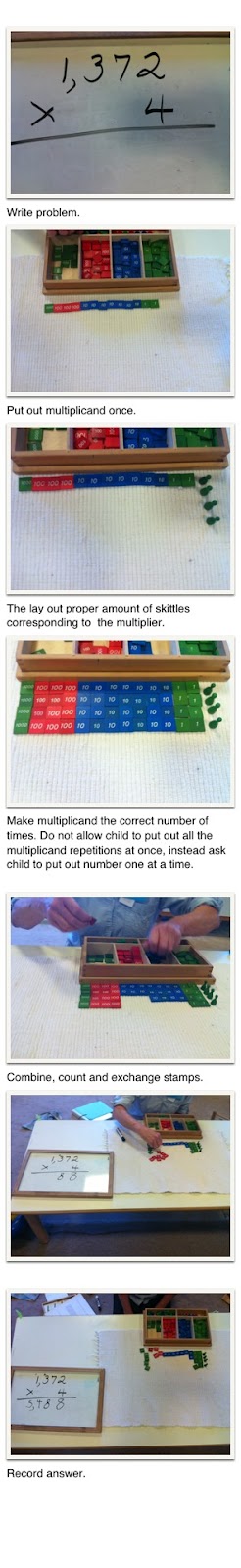 Montessorian in Training