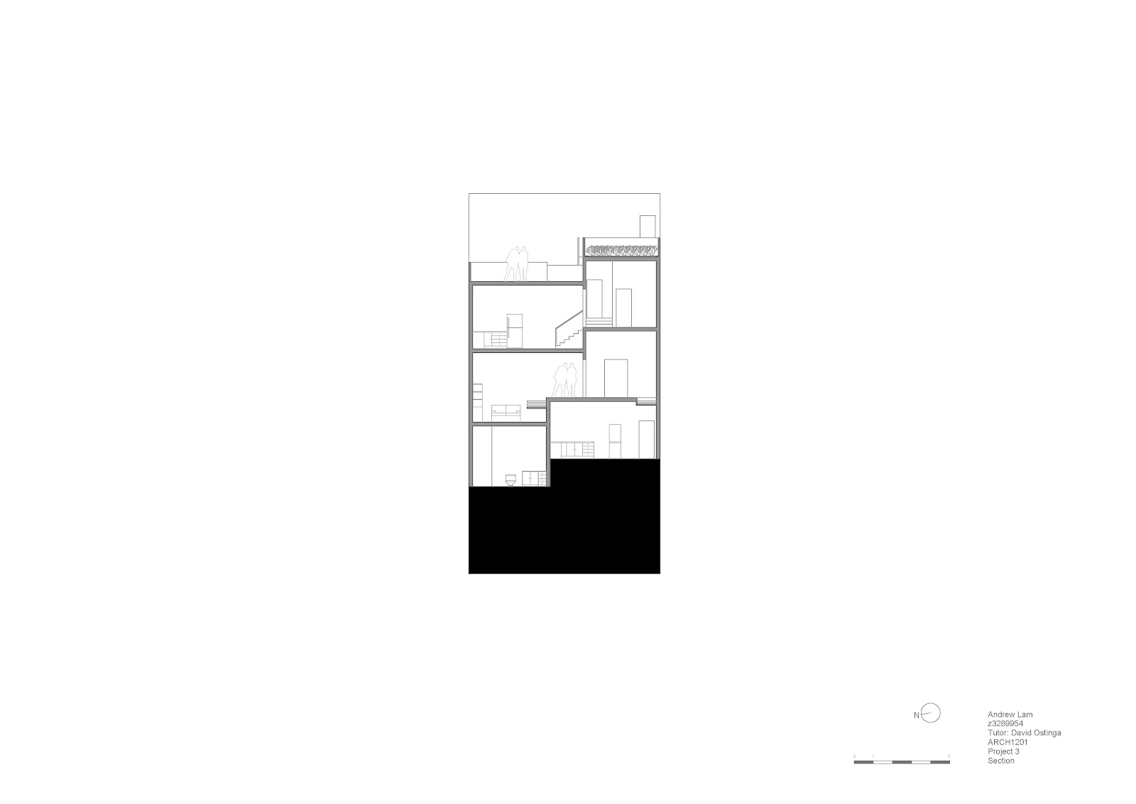 Andrew Lam: Project 3: Double House - Plans & Sections