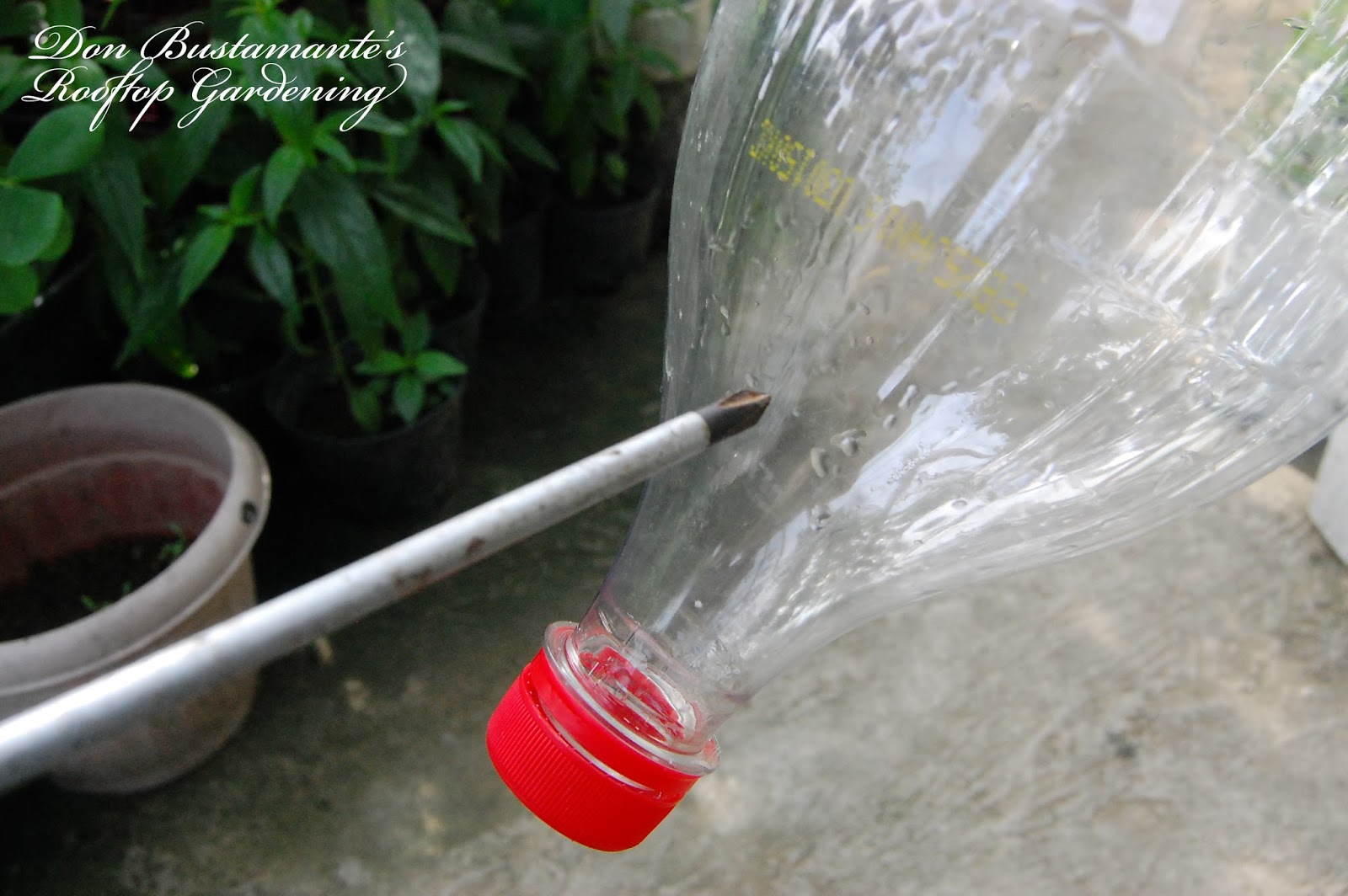 Don Bustamante's Rooftop Garden: How To Make Self Watering Plastic Bottle