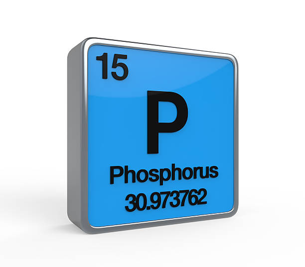 Heraldry of Life: 15.PHOSPHORUS - ART with P-chemical element symbols