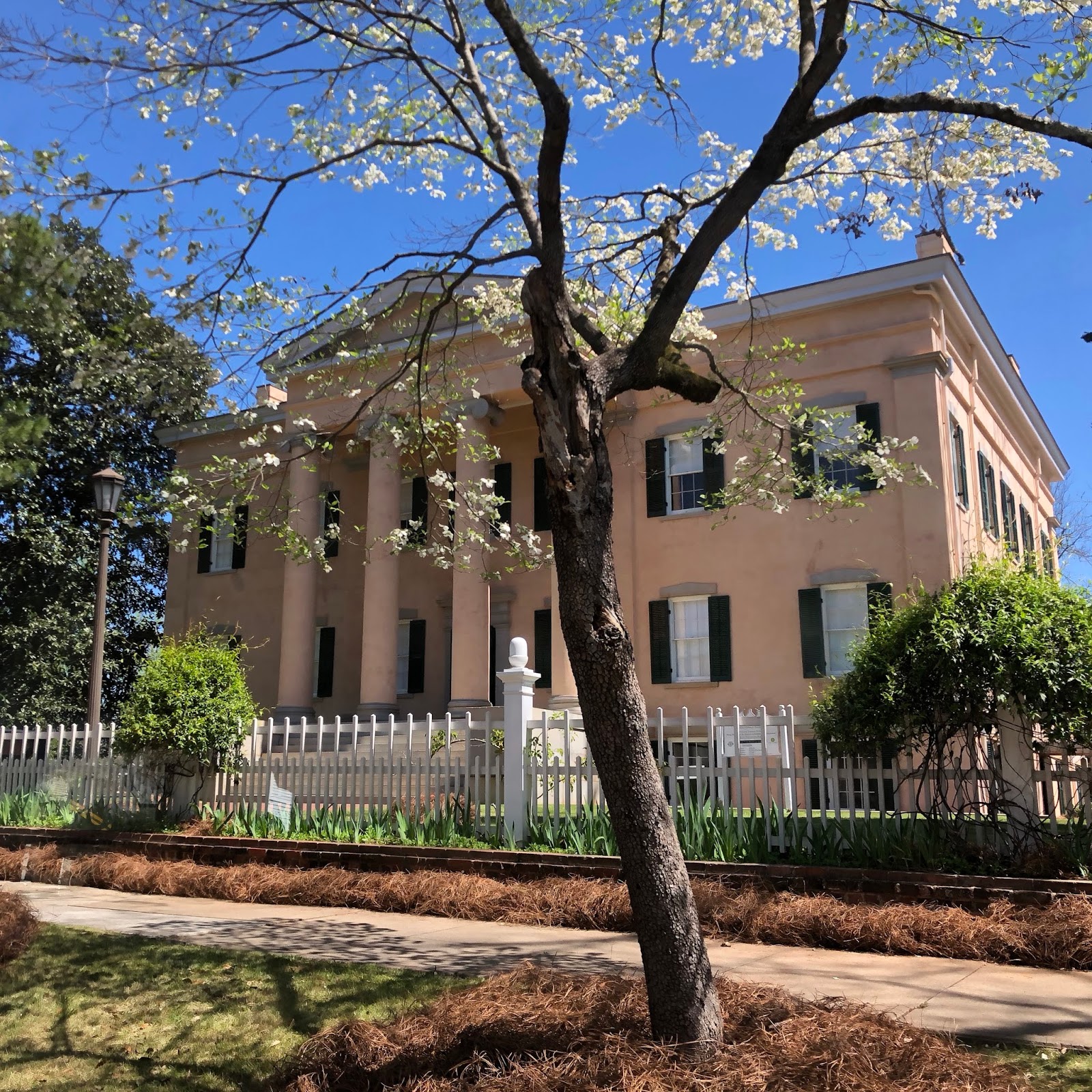 The Jacobsons' Journey: The Tail End of the Antebellum Trail