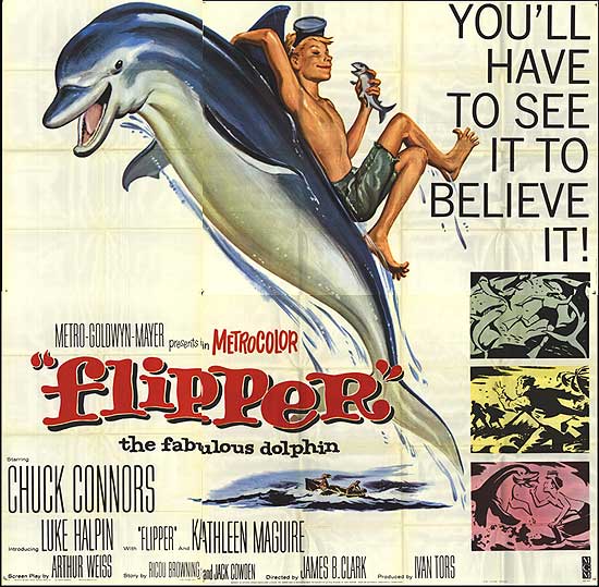 Movie Lovers Reviews: Flipper (1963) - Wonderful Scenery inhabited by ...