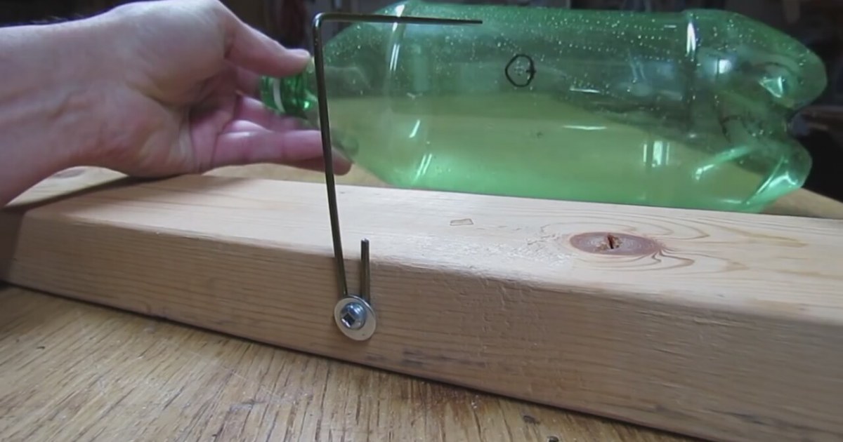 How to Build a Simple, Humane Mouse Trap Out of an Old Soda Bottle ...