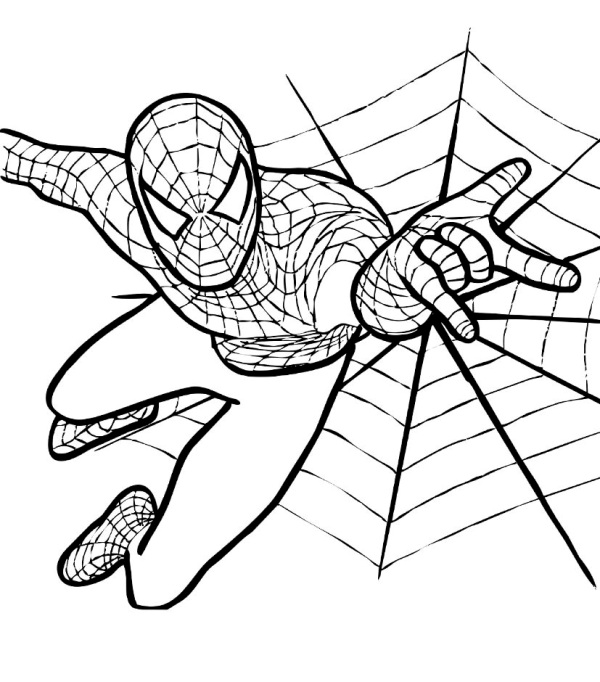 Gambar Mewarnai Gambar Spiderman Super Hero Keren Sketsa Jeruk di ...