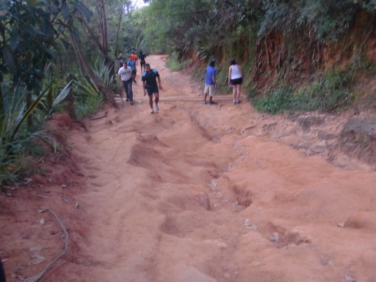 El ÁVILA: Sabas Nieves