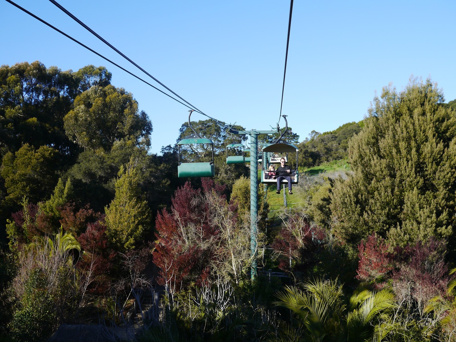 Little Hiccups: Oakland Zoo