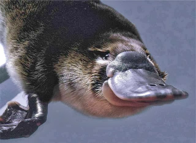 Canviant el món amb el PowerPoint...