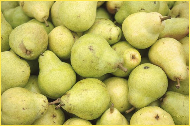 S T R A V A G A N Z A: THE ORIGIN OF THE PEAR