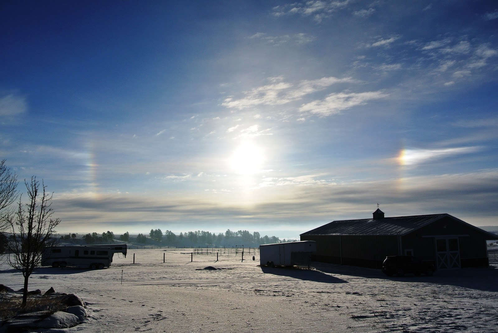 Moondance Ranch: Sundog!