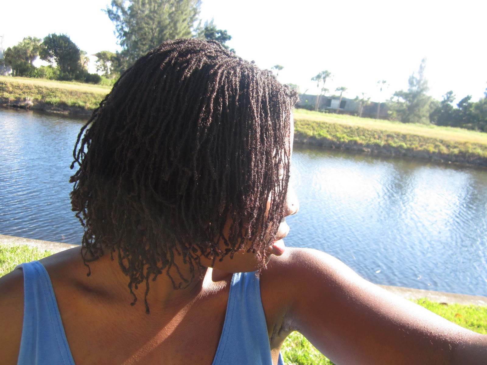 Kreyola's Journeys: Result: Semi-Permanent Jet Black Color on Sisterlocks