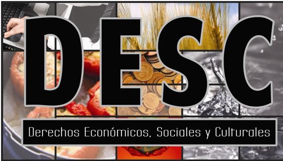 COMISIÓN NACIONAL DE LOS DERECHOS HUMANOS (CNDH)
