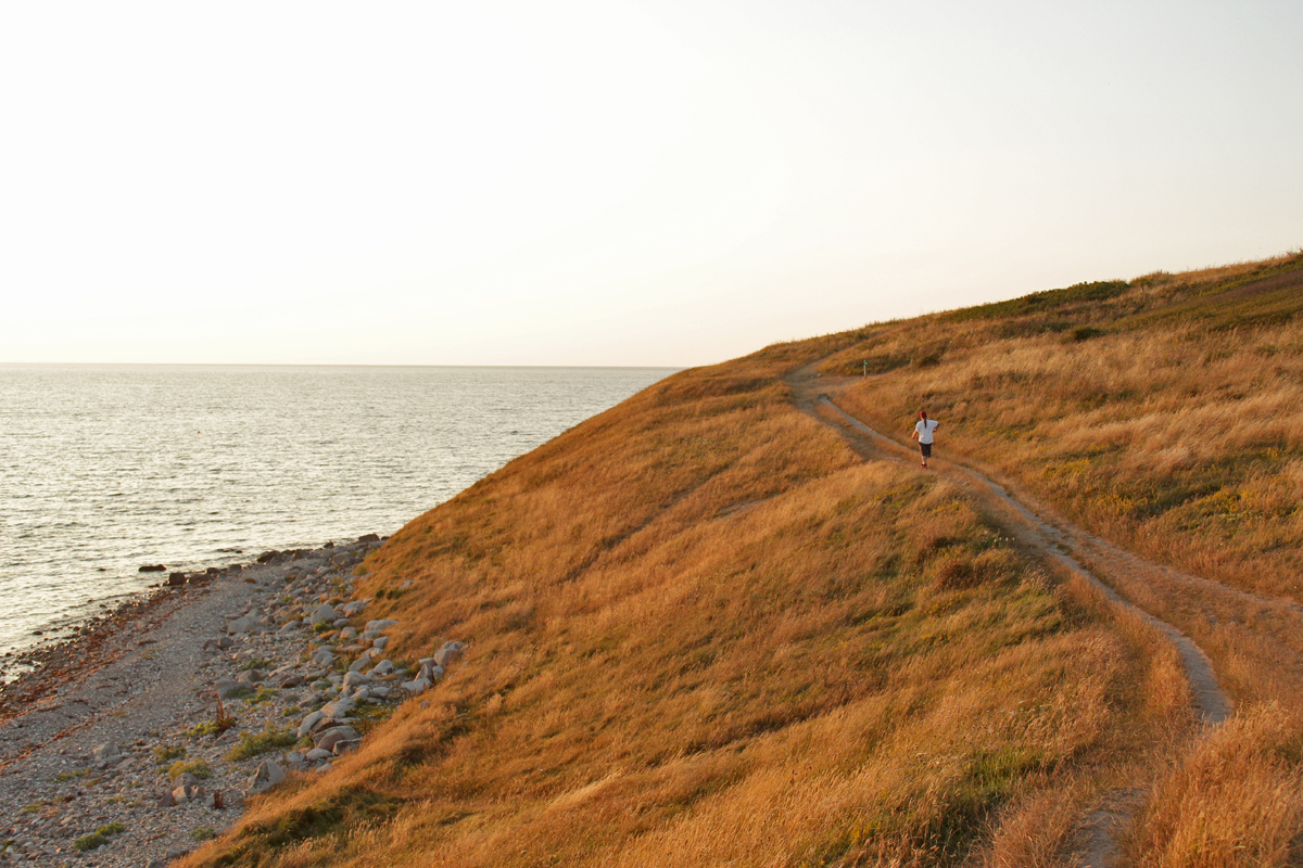 Wild camping in Denmark Fyns Hoved - Suntravelers Road Trip Ideas