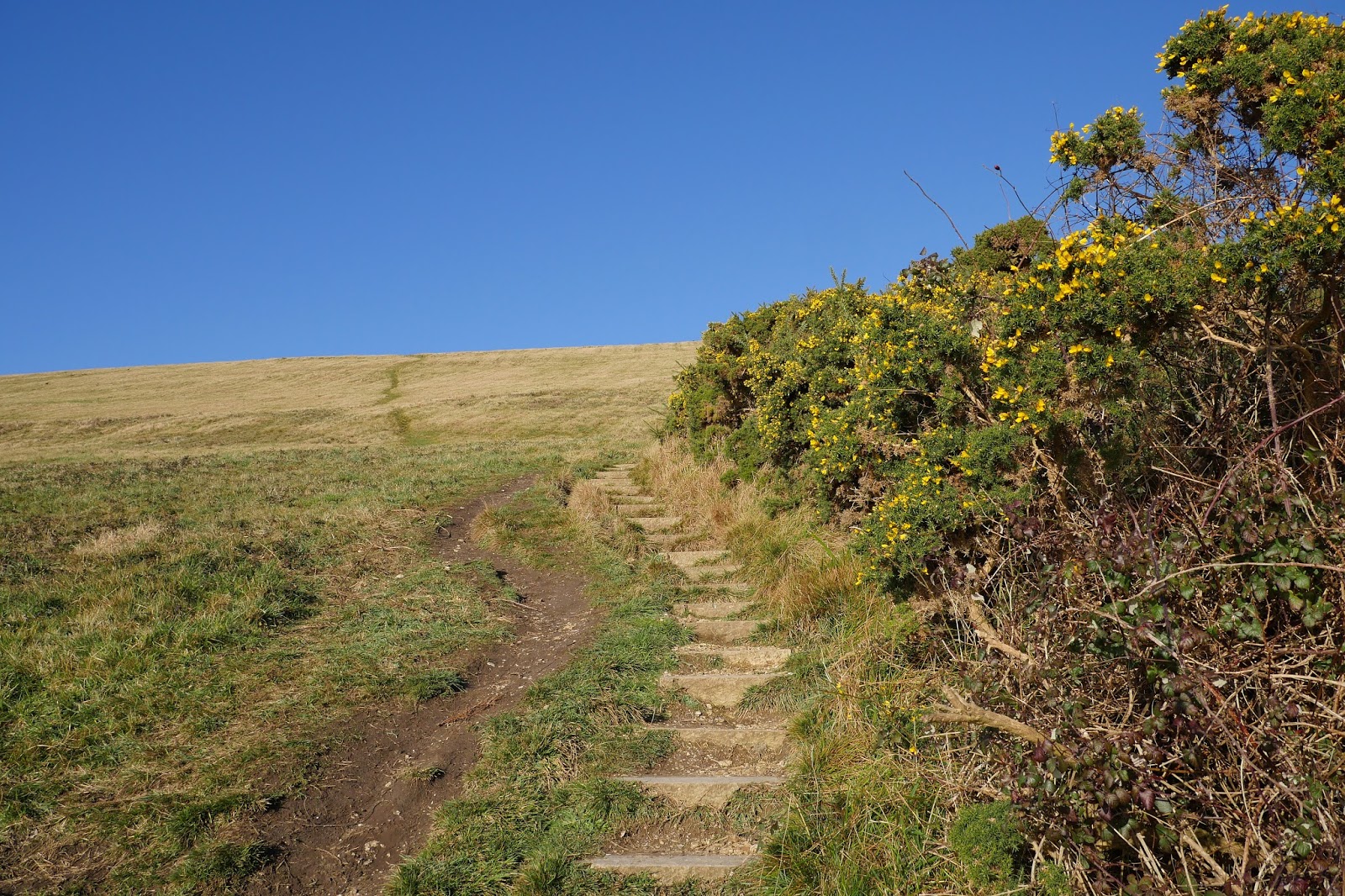 Walking in the country: Shell Bay to Swanage