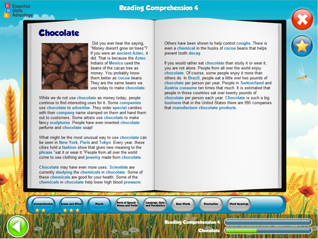 Brandi Raae: Interactive Reading and Language Learning for Elementary ...
