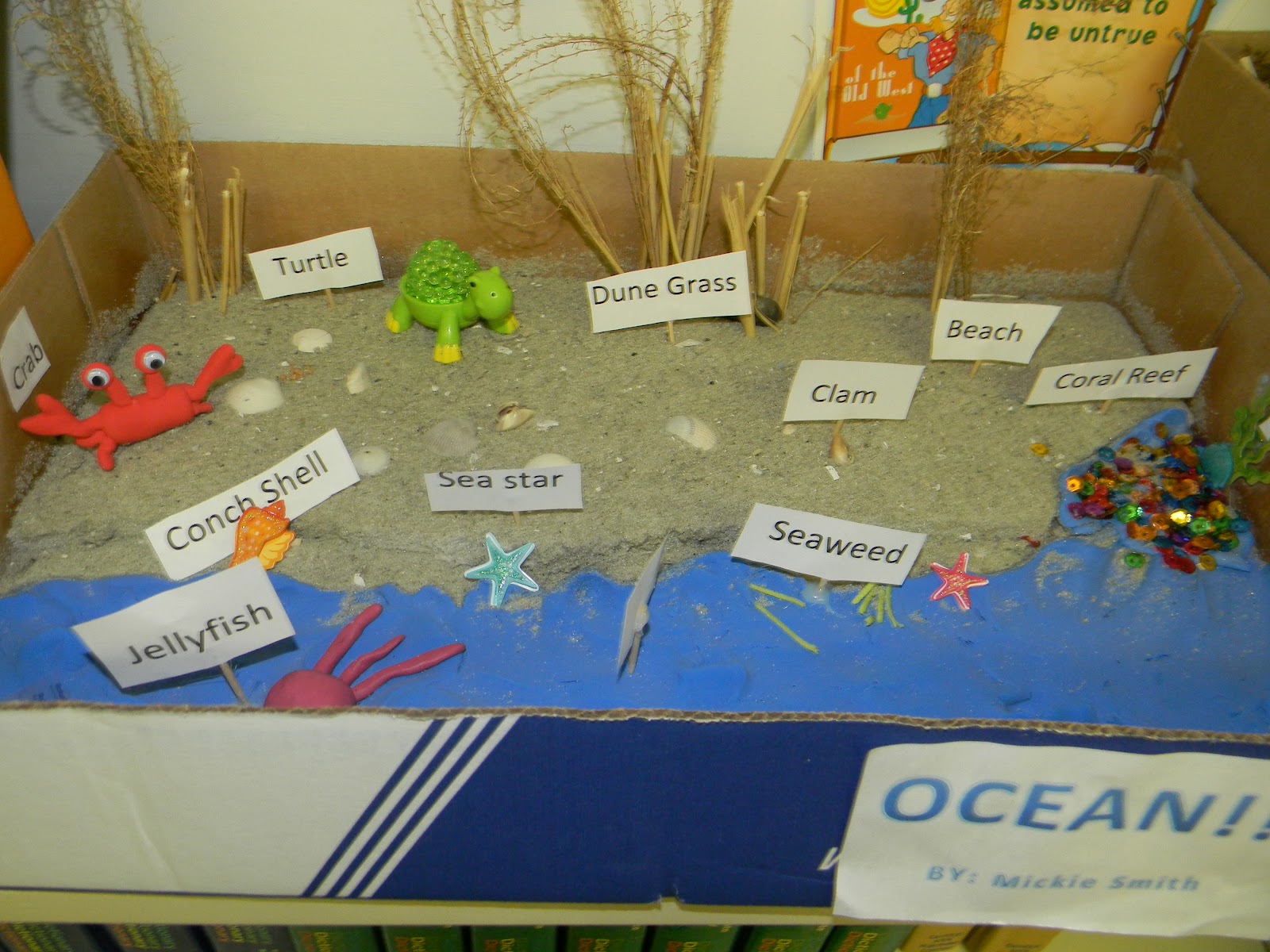 Middle School Science