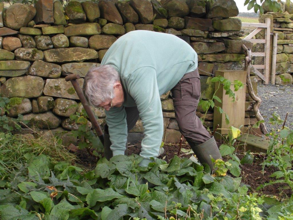 Moor House - Upper Teesdale National Nature Reserve: Putting Wynch ...