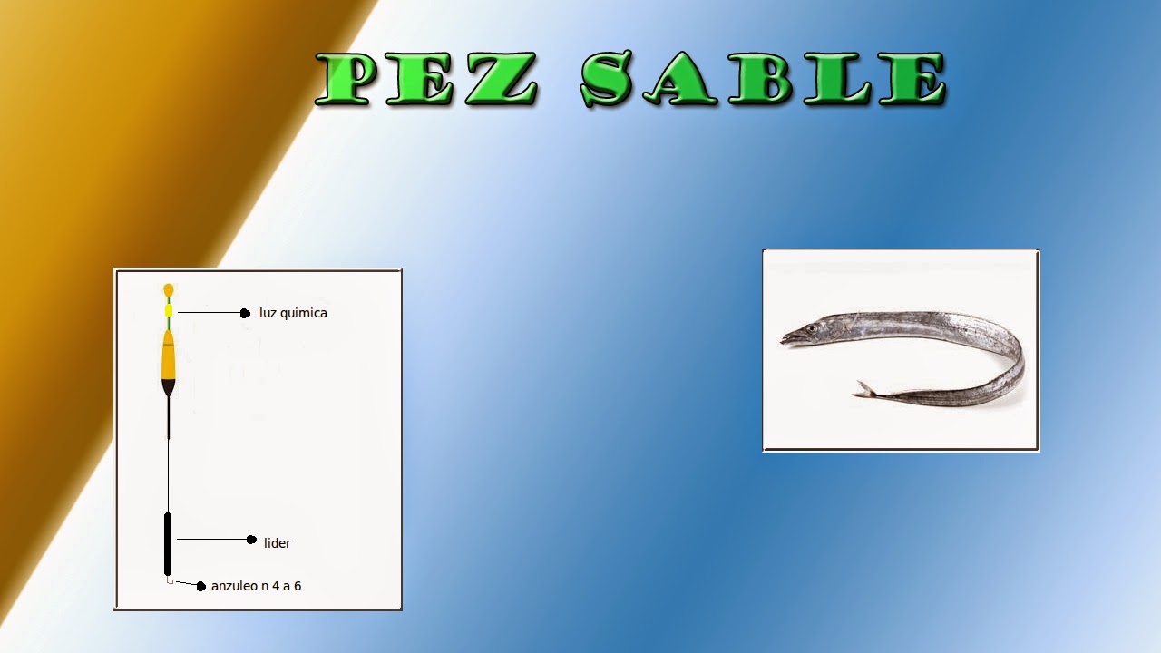 Tipos De Pesca: Pez Sable