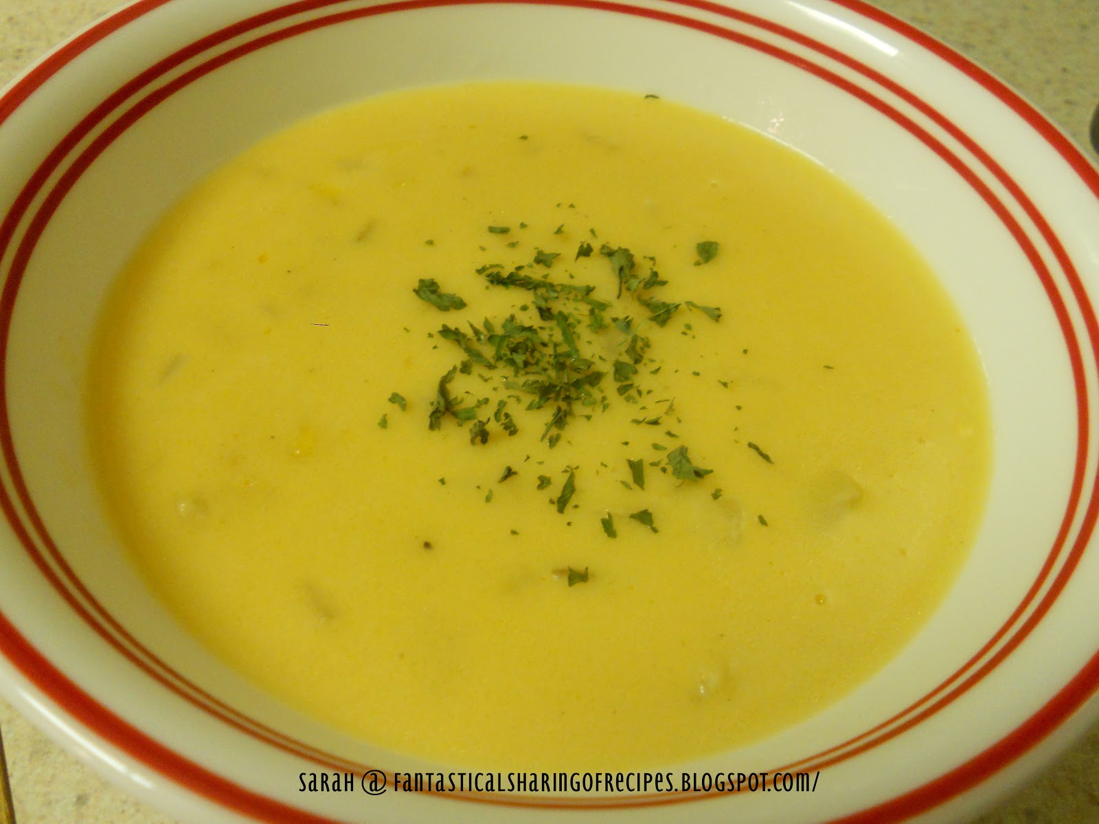 Fantastical Sharing of Recipes: Wisconsin Cheddar Cheese Soup