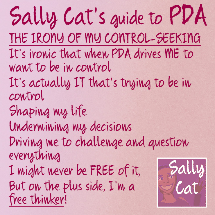 Sally Cat PDA: Memes About Demand Avoidance