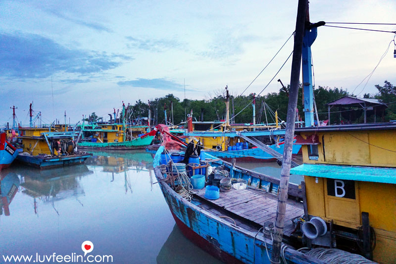 Pulau Sembilan (Pulau Lalang) 九屿岛（啦浪岛）蓝眼泪之旅 - 乐飞翎 ♥ LUVFEELIN