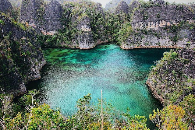 Wisata Jaguar: Lokasi Wisata Yang Menarik Di Raja Empat