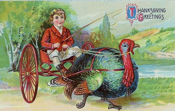Nothing But Limericks: Thanksgiving Turkey Limericks For Kids?