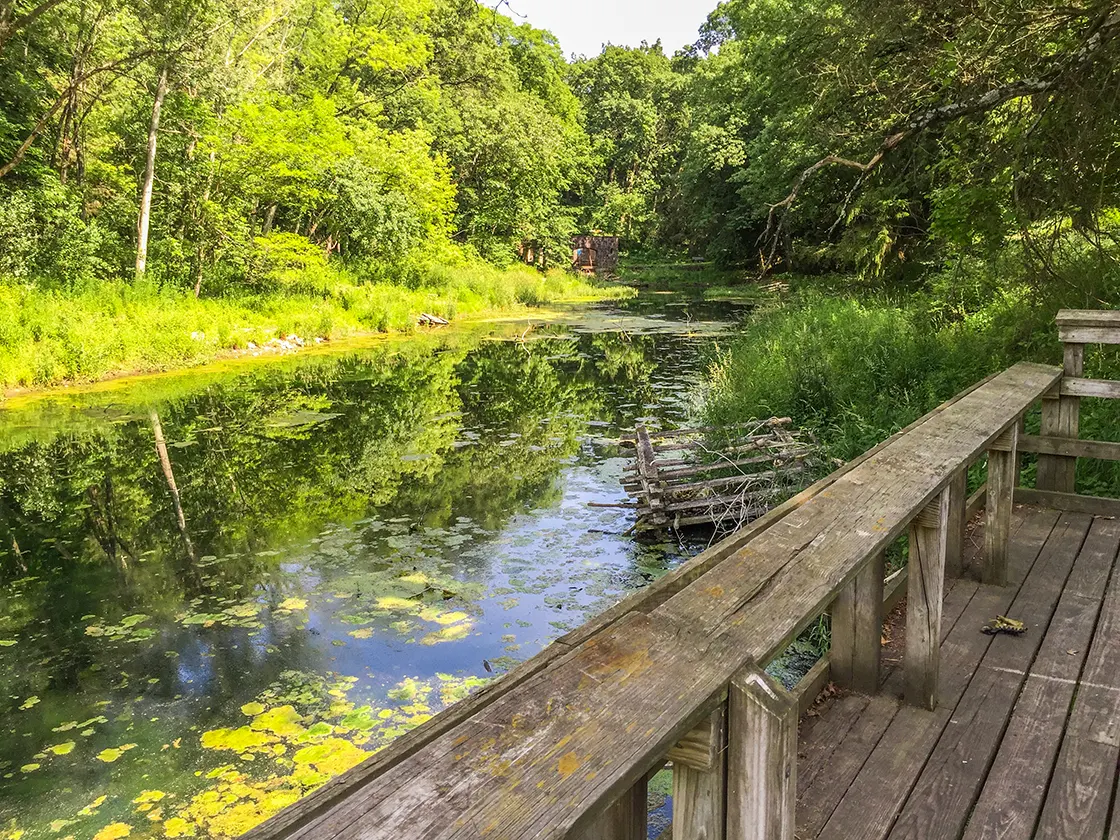 Exploring Paradise Springs