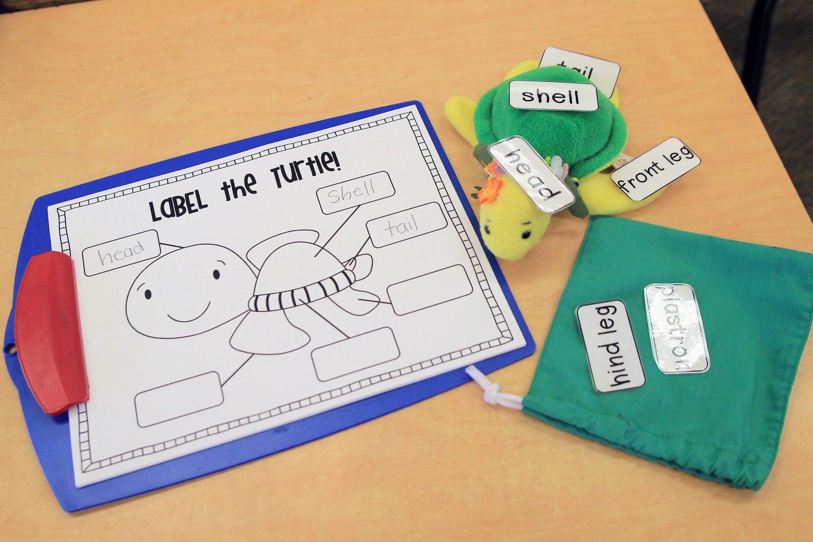 Mrs. Ricca's Kindergarten: Down by the Sea Centers & Freebie!