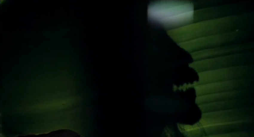 Horror Shock LoliPOP: Movie Reviews: Surviving Evil (2009)