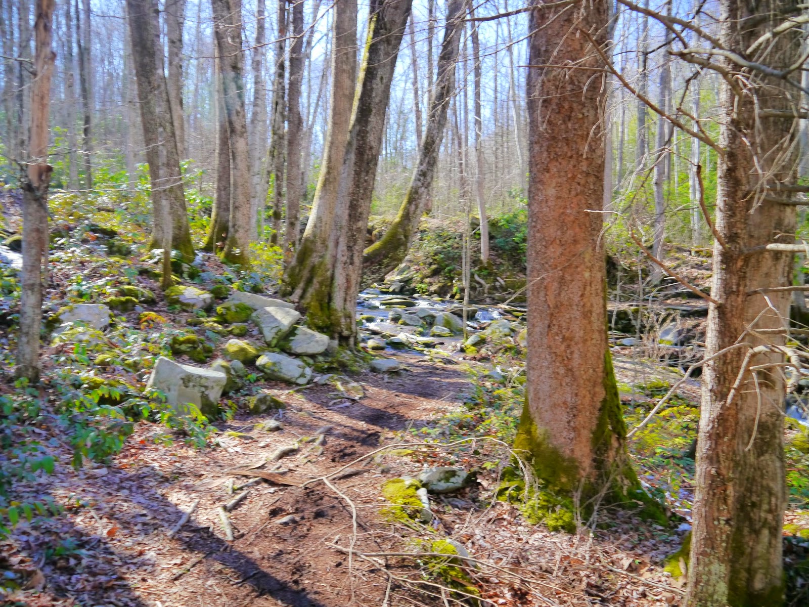 American Travel Journal: Little River Trail - Great Smoky Mountains ...