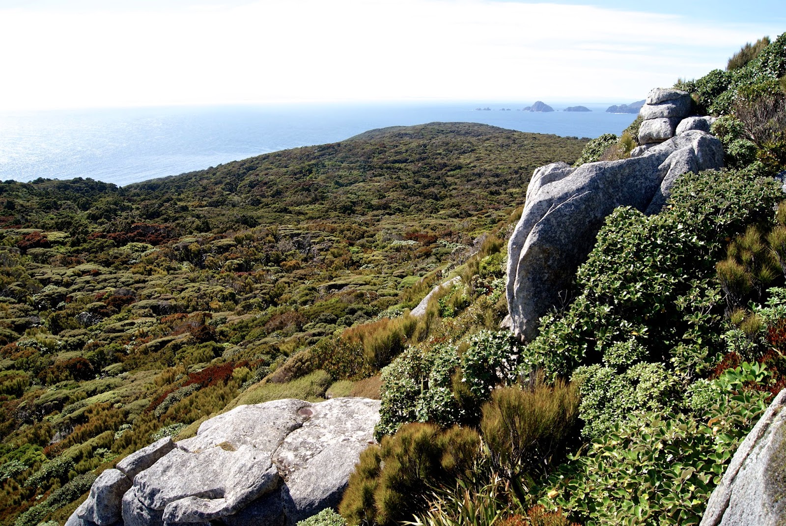 WanderLust Kaitlyn Jayne: Tales from Codfish Island (Whenua Hou)