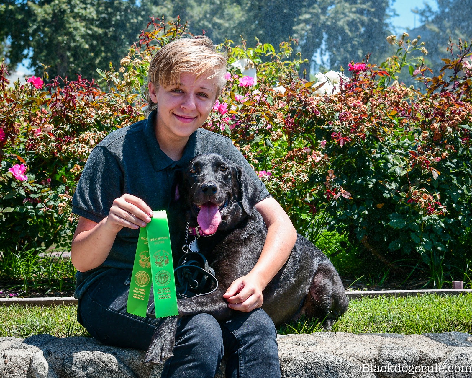 Fun Activities For You And Your Dog