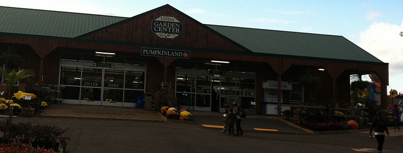 Taste & Travel: Linvilla Orchards-Media, PA