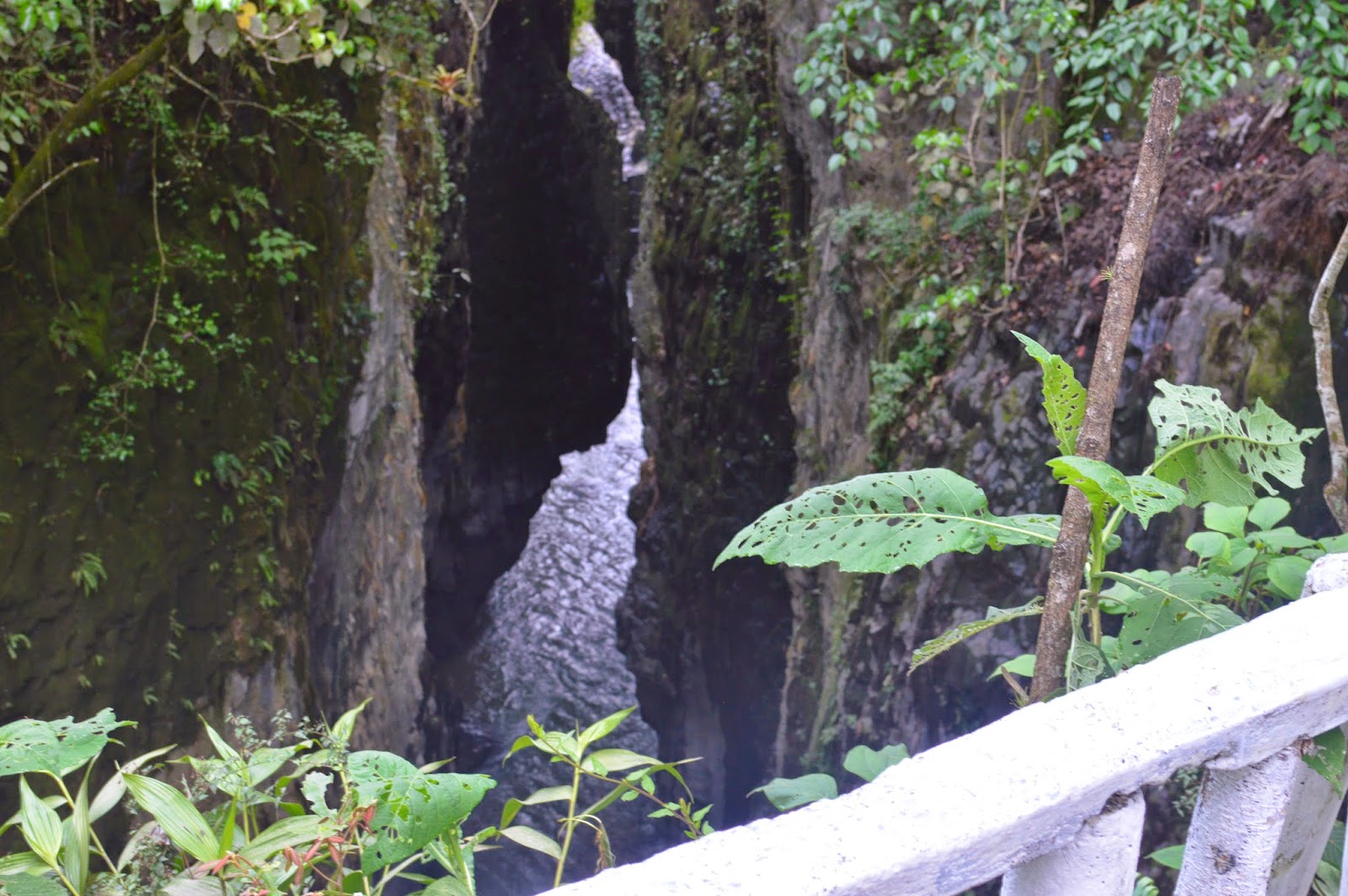 Fotocuates. . .: Una vuelta por Apulco.