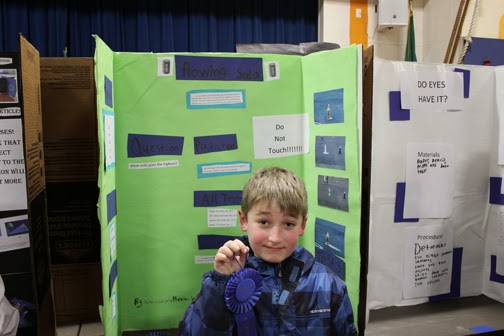 Sunnyland 4th Grade!: Science Fair!