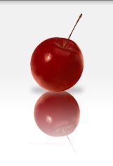 Las frutas y sus diversas propiedades: Cerezas y Guindas