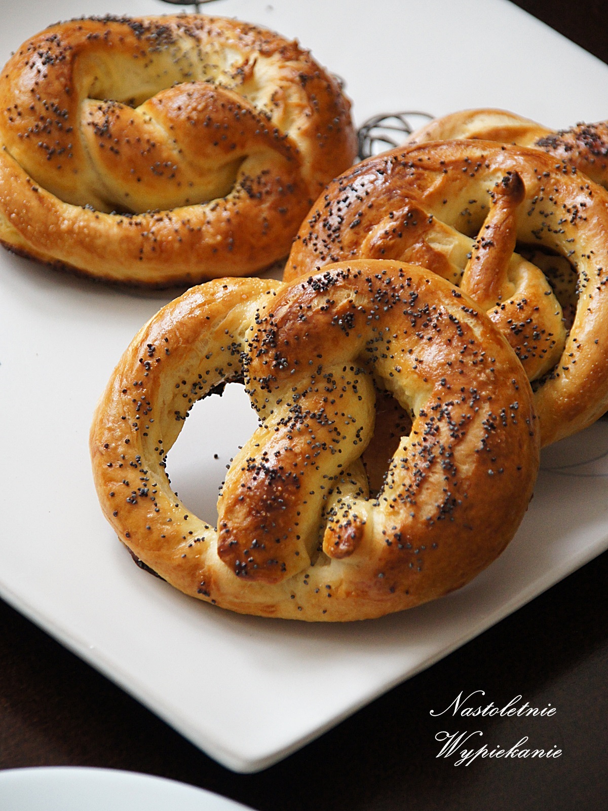 Precle - Justyna Dragan