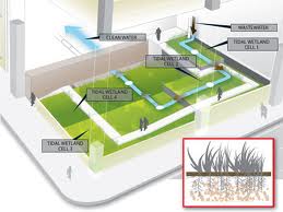Wit and Wisdom of an Engineer: The Living Machine System