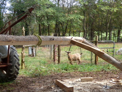5 Acres & A Dream: Goat Barn: Loafing Overhang