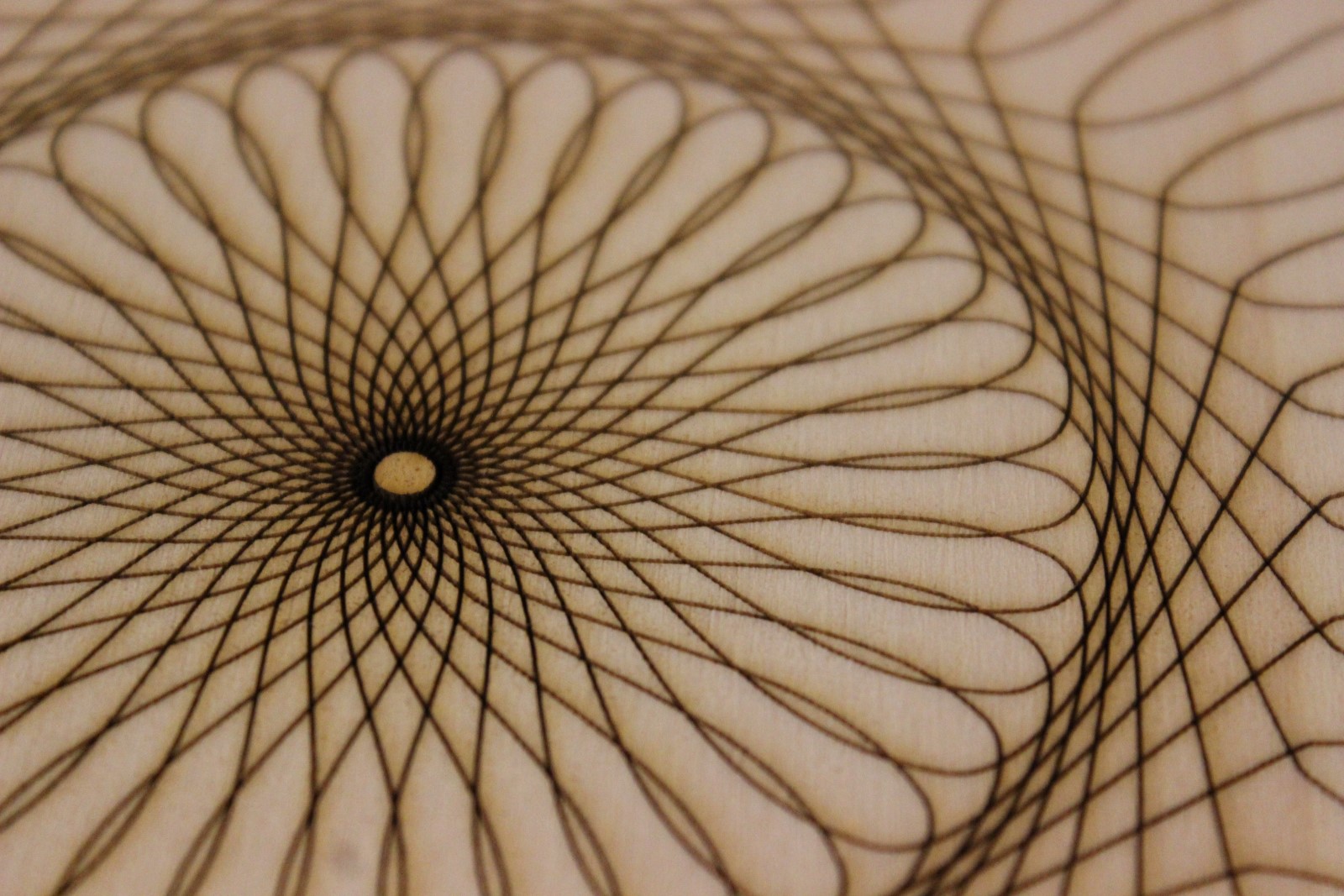 Rotational Symmetry Line Drawings