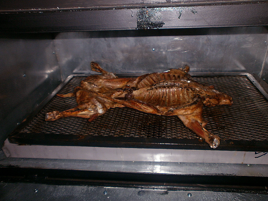 El Fogón de Leña: Cabrito al Ataúd.